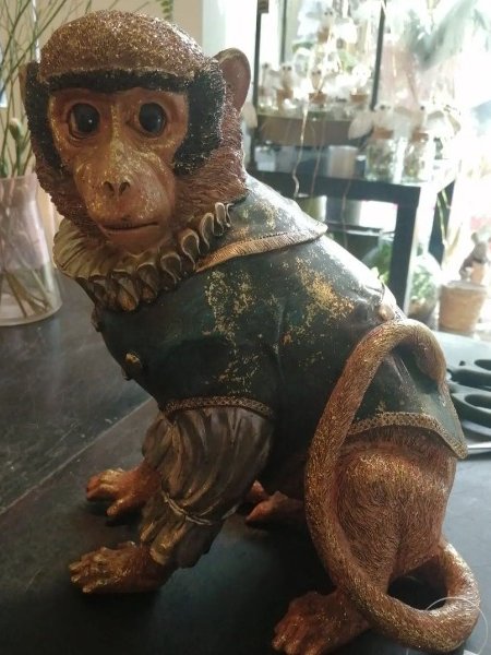 Kukkii - Lahjatavarat - Apina